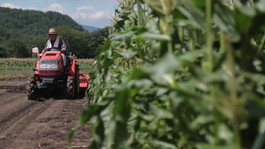 Yukio Kitazawa / chairman, Chino-shi agriculture & sightseeing ...